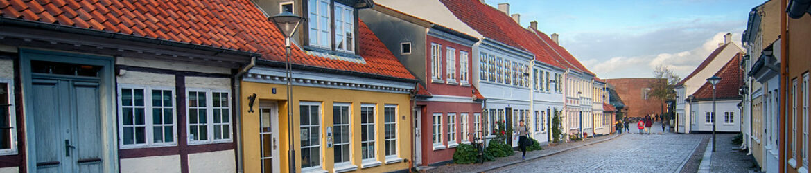 5 ting du skal vide om Robotplæneklipper - Mit Odense